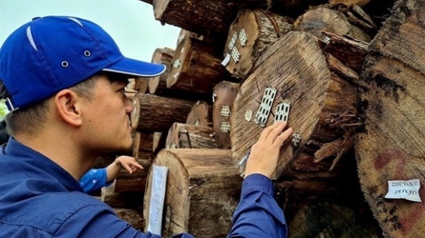 Huge potential for Vietnam’s timber exports